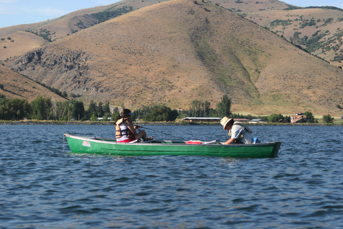 Bear River health officials issue algae bloom warning for Mantua ...